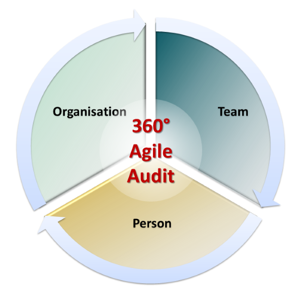360° Agile Audit | CredoNobis service | Target your transformation efforts